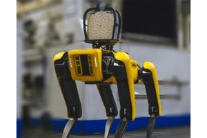 Boston Dynamics Spot | For Sale